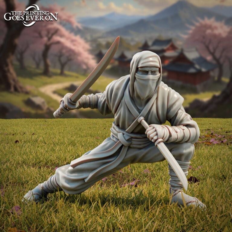 Ninja - Katana | The Printing Goes Ever On